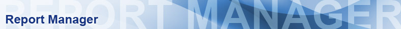 Report Manager - Login